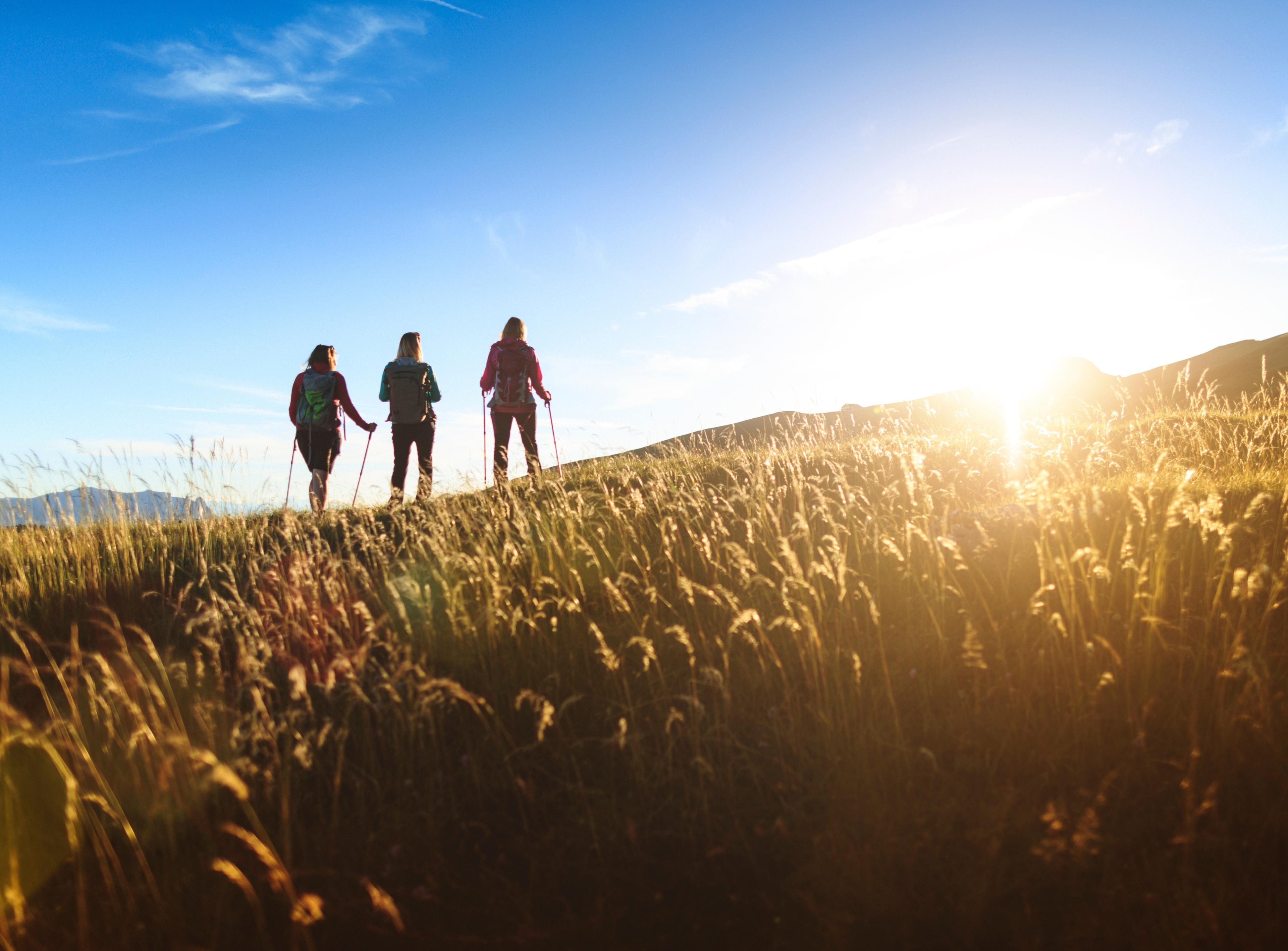 LIFE Network | Life Transformation Platform by Biohacker Ben Greenfield